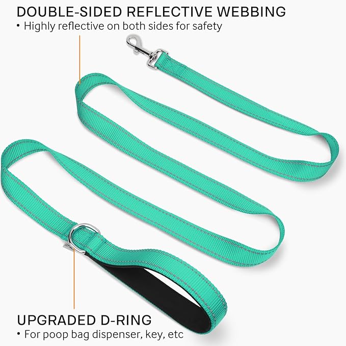 7 Types Of Dog Leashes – Choosing The Right One – Dog Hub EXTENDED