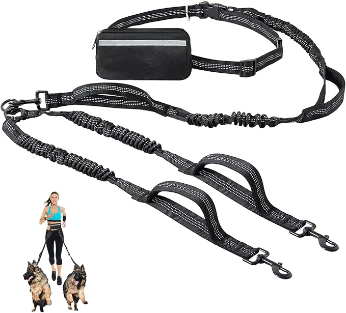 7 Types Of Dog Leashes – Choosing The Right One – Dog Hub EXTENDED