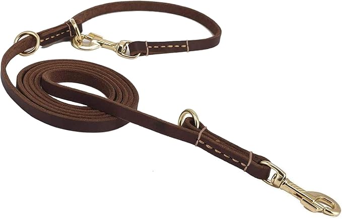 7 Types Of Dog Leashes – Choosing The Right One – Dog Hub EXTENDED