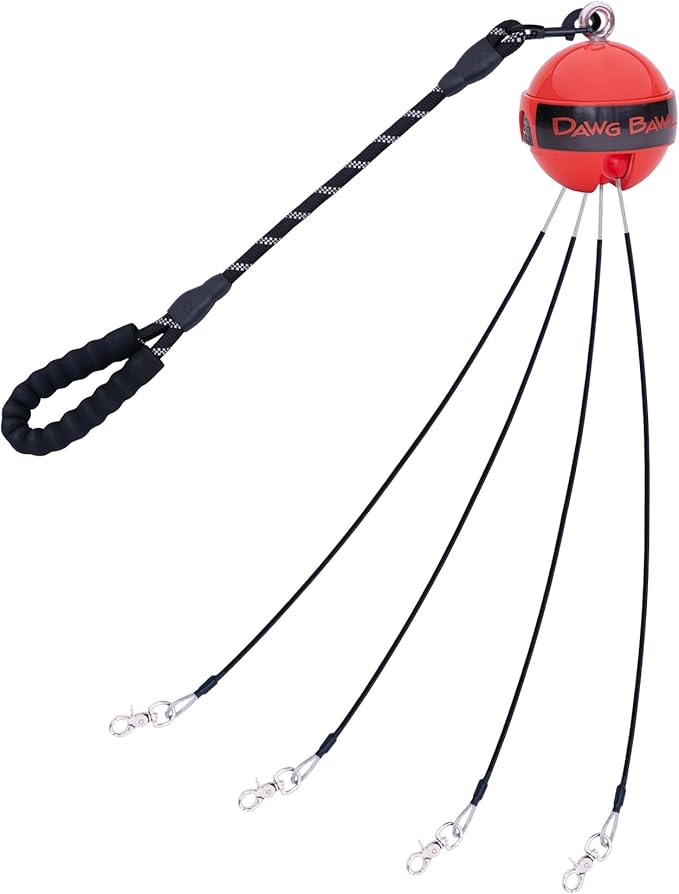 7 Types Of Dog Leashes – Choosing The Right One – Dog Hub EXTENDED